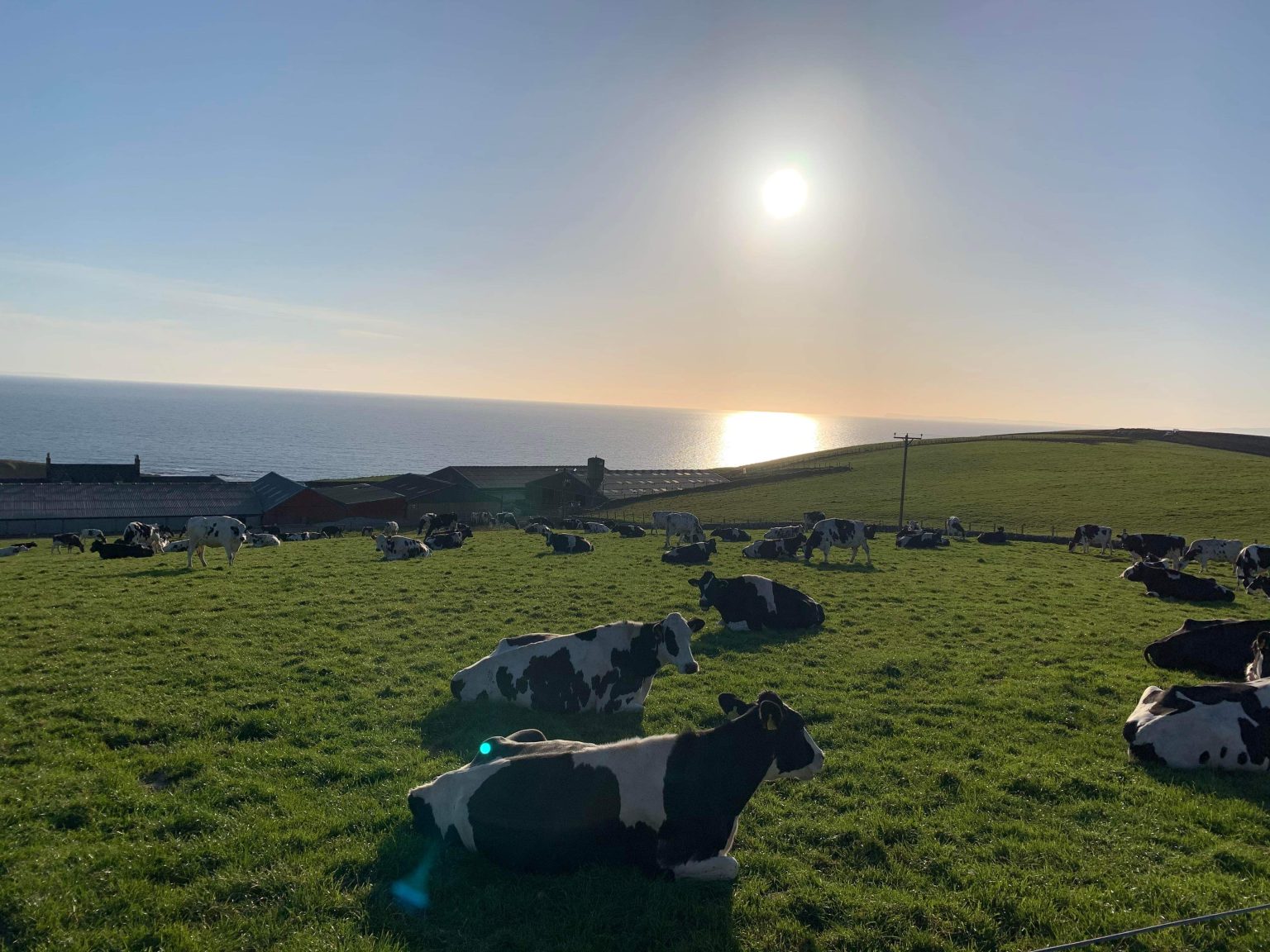 240 Stories: Ailsa Smith - RHASS