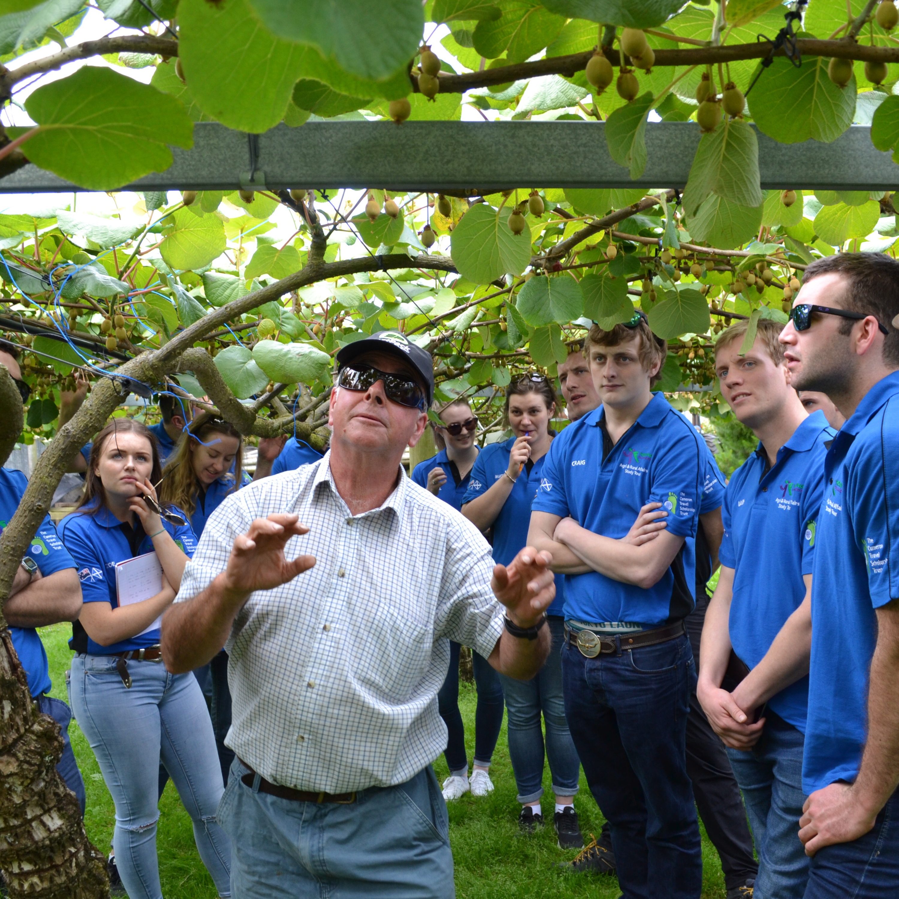 240 Stories: Catherine Sloan - RHASS